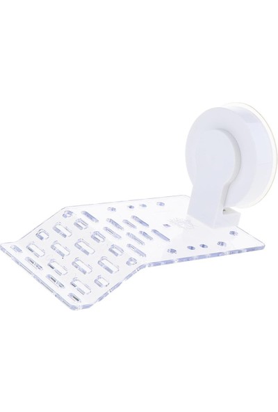 Cynthia Sürüngen Teraryum Aksesuarı (Yurt Dışından)