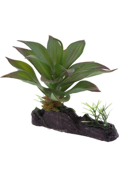 Cynthia Sürüngen Teraryum Aksesuarı (Yurt Dışından)