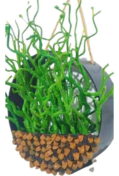 Yapay Bambu Çubukları Kozalak Işçilikli Çember Saksıda 20*20