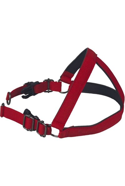 Bypet Köpek Tasması Soft Tabanlı Güvenli ve Konforlu Köpek Göğüs Tasması Seti Bypet Köpek Tasması Soft Tabanlı Güvenli ve Konforlu Köpek Göğüs Tasması Seti