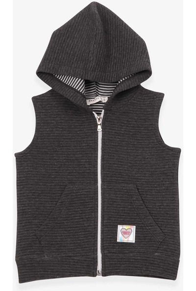 Breeze Kız Çocuk Yelek Kapüşonlu Fermuarlı Antrasit Modi (3-8 Yaş) Breeze Kız Çocuk Yelek Kapüşonlu Fermuarlı Antrasit Modi (3-8 Yaş)