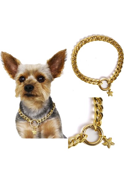 Natzione Kedi ve Köpek Kolye ( Kolye Ucu Altın Kaplamadır )