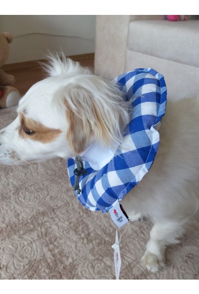 TrendyPati Kedive Köpek Yakalığı( Elizabeth Yakalık) TrendyPati Kedive Köpek Yakalığı( Elizabeth Yakalık)