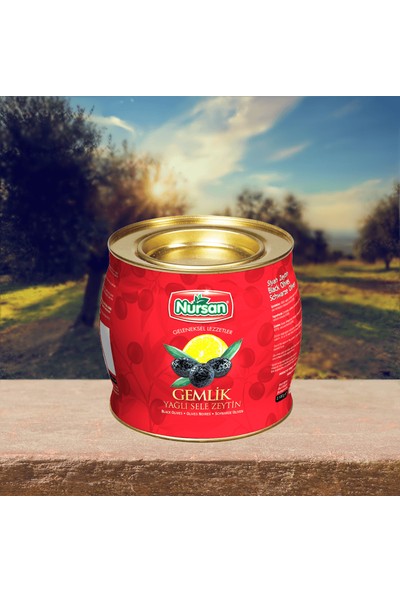 Nursan Extra Yağlı Sele 2 kg Nursan Extra Yağlı Sele 2 kg