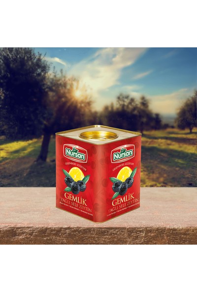 Nursan Süper Zeytin 4 kg Nursan Süper Zeytin 4 kg