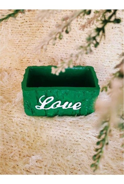 E.m.s Yeşil Koyu Love Kaktüs Sukulent Menekşe Saksısı