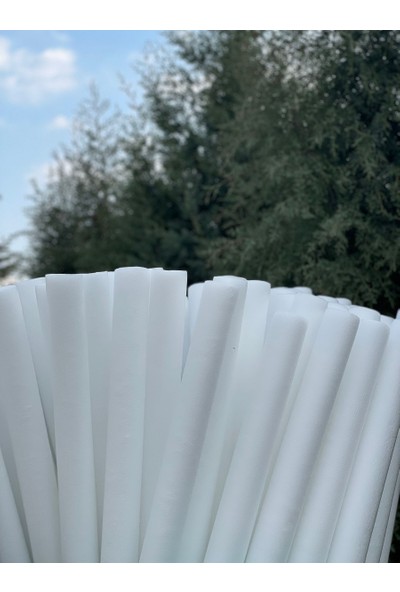 Senal Ticaret Deniz ve Havuz Makarnası, Köpük Sosis, El Sanatları Projeleri Için Parlak Köpük Beyaz 1 Adet Senal Ticaret Deniz ve Havuz Makarnası, Köpük Sosis, El Sanatları Projeleri Için Parlak Köpük Beyaz 1 Adet