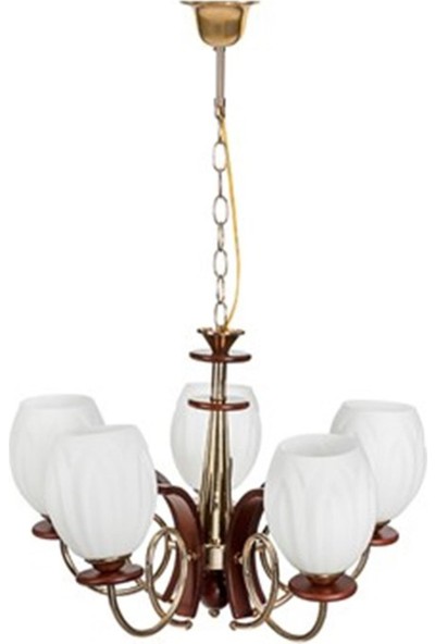 Evden Konsept 5'li Modern Avize Kahverengi Renk Modern Metal Aydınlatma Evden Konsept 5'li Modern Avize Kahverengi Renk Modern Metal Aydınlatma