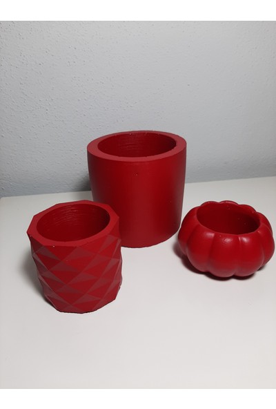 Tzcn Beton Saksı Mini Sukulent ve Mini Kaktüs Saksı 3'lü Set Sukulent / Kaktüs (Çiçekli Gönderim)