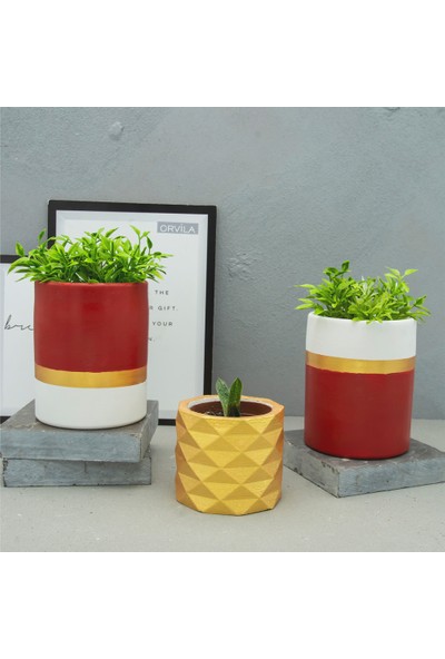 Orvila Dekoratif Klasik Beton Sukulentlik ve Kaktüslük Saksı Kalemlik Masaüstü | Ofis | Kitaplık