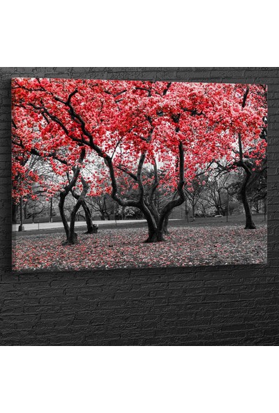 Decobulvar DCCA2133 - Tomurcuklar Dökülürken Kanvas Tablo Decobulvar DCCA2133 - Tomurcuklar Dökülürken Kanvas Tablo