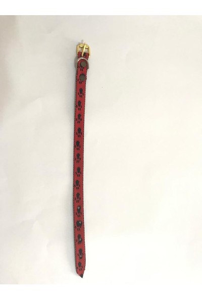 Yavru Kedi Yetişkin Kedi Boyun Tasması Pati Izli Yavru Kedi Yetişkin Kedi Boyun Tasması Pati Izli