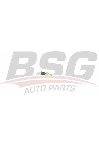 Bsg 60-840-013 Hararet Musuru 60840013 (WC689283)