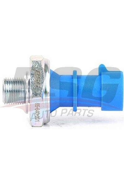 Bsg 65-840-001 Yag Basinc Musuru 65840001 (WC714213)