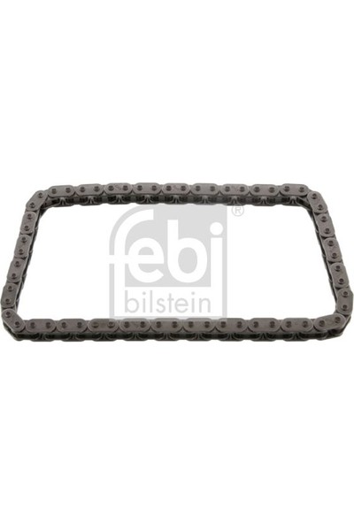 Febı 25446 Yag Pompa Zinciri (WA222643)