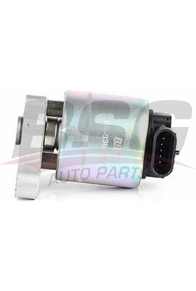 Bsg 65-836-002 Egr Valfi 65836002 (WK362834)