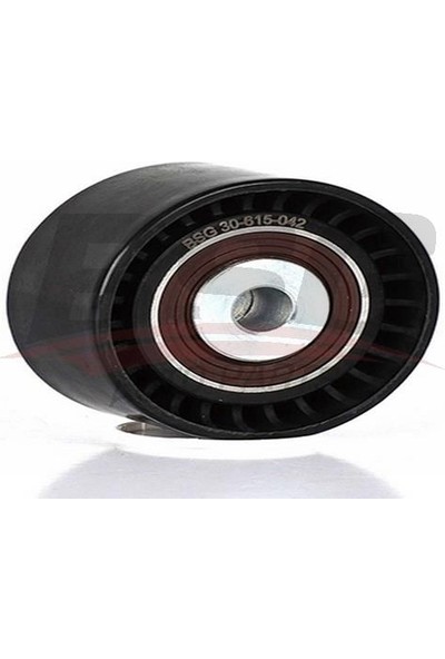 Bsg 30-615-042 Eksantrik Gergi Rulmani 30615042 (WE362224)