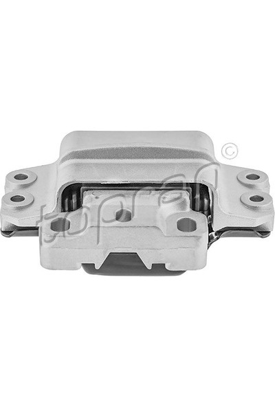 Topran 114321001 Sanziman Takozu (Vw: Golf V-Vi 1.4 Tsi 07-09CAXA-BMY-BLG) 1K0199555AC (WN129243)