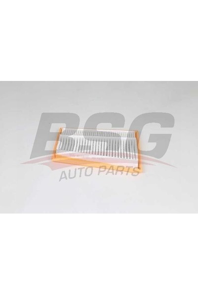 Bsg 60-135-021 Hava Filtresi 60135021 (WC367683)
