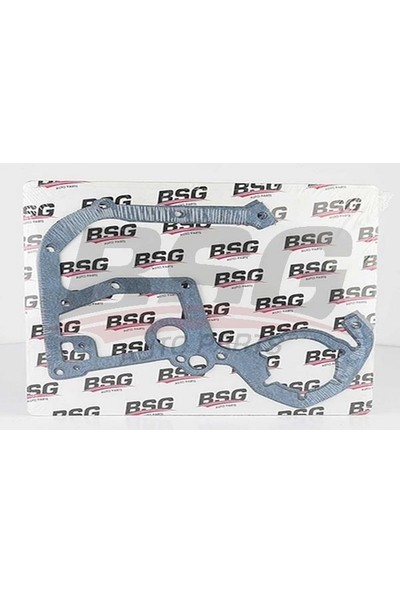 Bsg 30-116-029 Eksantrik Kapak Contasi 30116029 (WT937335)