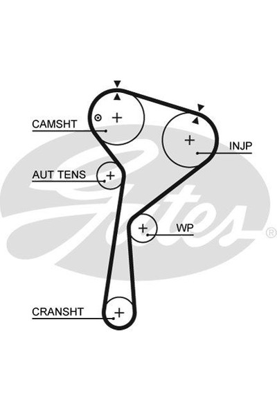 Gates 5578XS Eksantrik Kayisi (123X270) 123 Dis Clio Kangoo Megane Iı 1.5 Dci 01- CT1035 (WE198618)