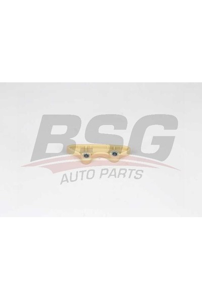 Bsg 30-109-019 Eksantrik Zincir Paleti 30109019 (WT865835)