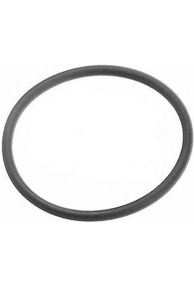 Mais Fluence Turbo Borusu Oringi 7701071148 *