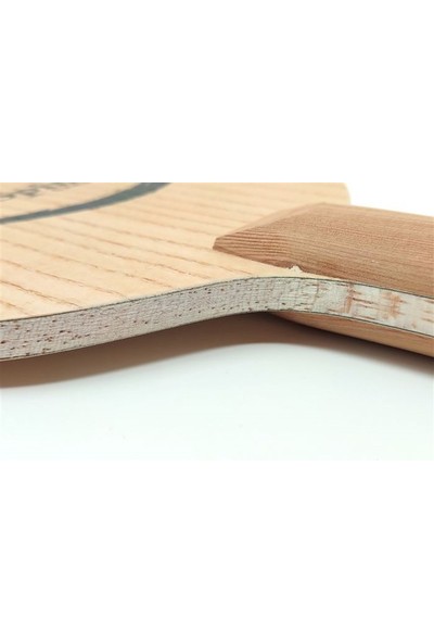 Spinlord Carbon Strike