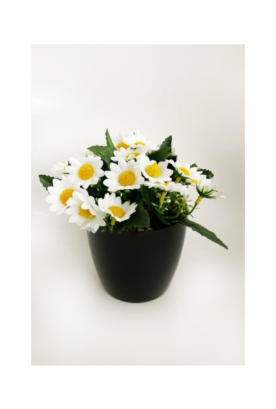 Yapay Çiçek Plastik Saksıda Beyaz Papatya