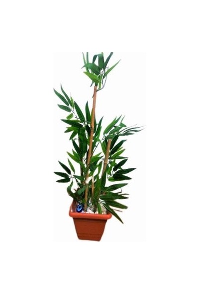Yapay Bambu Ağacı 70 cm Ebat Saksıda Bamboo Çiçek Yapay Bambu Ağacı 70 cm Ebat Saksıda Bamboo Çiçek