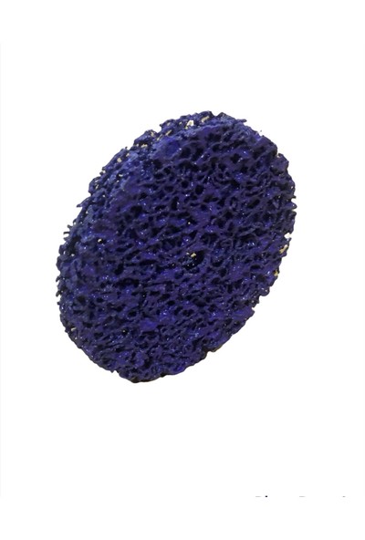 Schnell Schnel Pasve Boya Sökücü Disk 100X13MM (Mor Disk) Schnell Schnel Pasve Boya Sökücü Disk 100X13MM (Mor Disk)