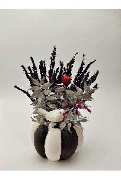 Küçük Kabak Aranjman