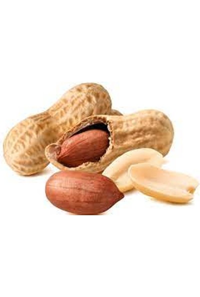 Öz Acemoğlu Osmaniye Taze Yer Fıstığı 3 kg Öz Acemoğlu Osmaniye Taze Yer Fıstığı 3 kg