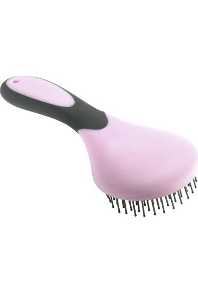 Asi At Tımar Tarağı