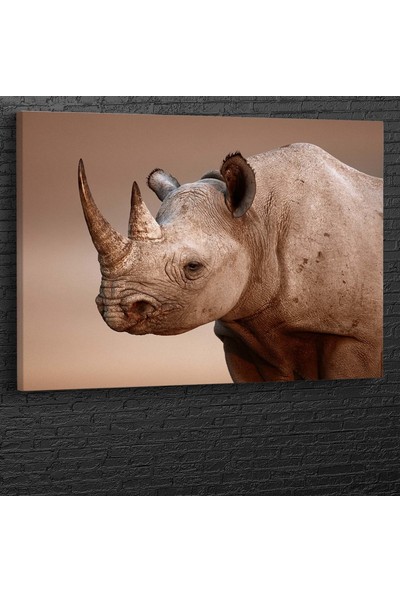 DCCA2149 - Gergedan Kanvas Tablo