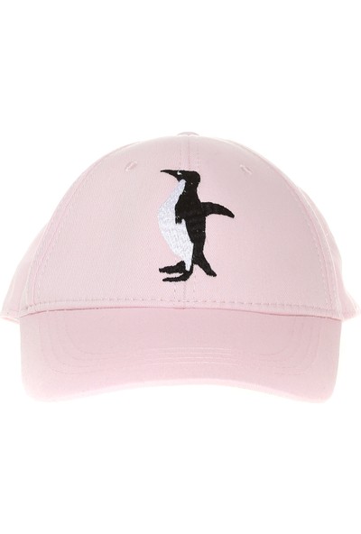 National Geographic Pembe Erkek Şapka NG-HAT09 National Geographic Pembe Erkek Şapka NG-HAT09