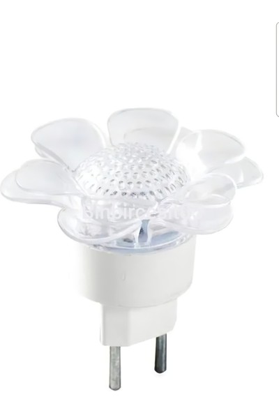 Akım Gül Desenli Ledli Gece Lambası Akım Gül Desenli Ledli Gece Lambası