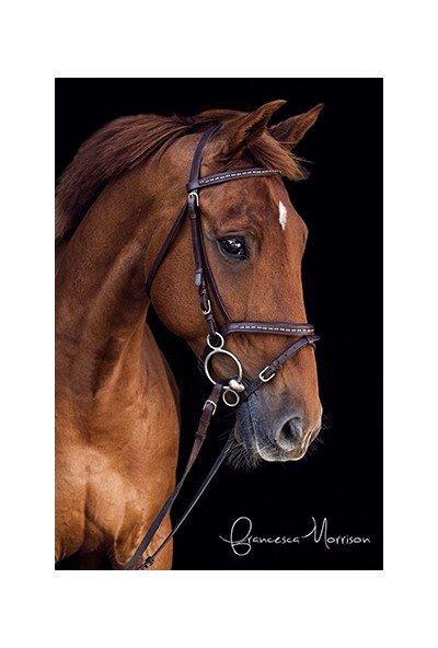 Ena Butik Canvas Derin Bakışlı At Sayılarla Boyama Seti Rulo 50 x 65 cm Ena Butik Canvas Derin Bakışlı At Sayılarla Boyama Seti Rulo 50 x 65 cm