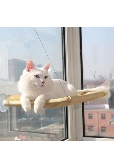 Goithalat Cama Asılan Kedi Yatağı Goithalat Cama Asılan Kedi Yatağı