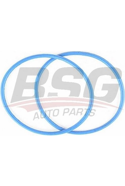 Bsg 30-116-083 Termostat Kapak Oringi 30116083 (WR142173) Bsg 30-116-083 Termostat Kapak Oringi 30116083 (WR142173)