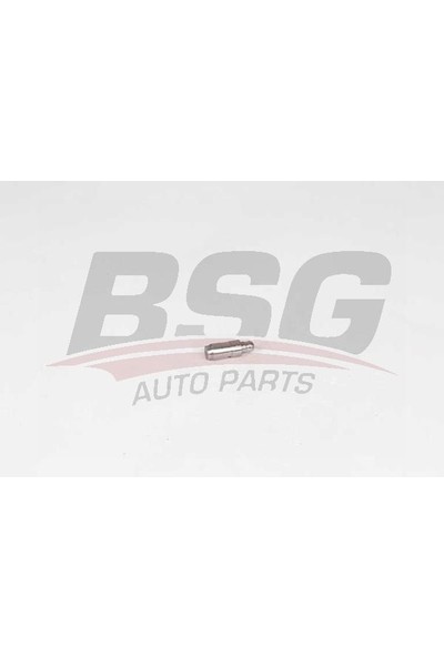 Bsg 90-122-018 Supap Iticisi 90122018 (WE477343) Bsg 90-122-018 Supap Iticisi 90122018 (WE477343)