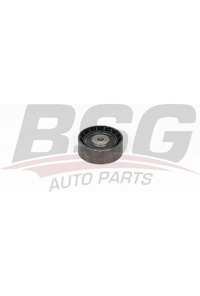 Bsg 75-615-004 V Kayis Gergi Rulmani 75615004 (WF622399)