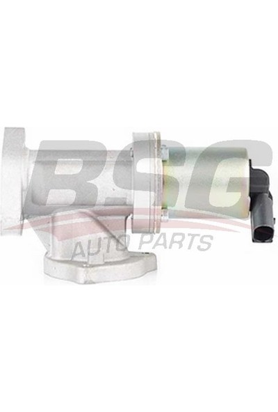 Bsg 40-836-002 Egr Valfi 40836002 (WM167867)