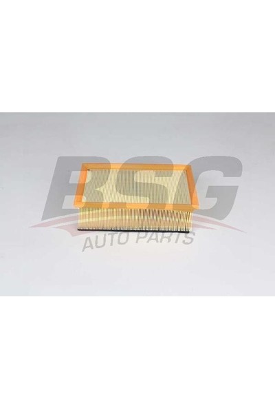 Bsg 70-135-022 Hava Filtresi 70135022 (WA467564)