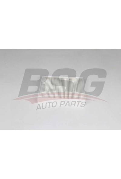 Bsg 75-145-012 Polen Filtresi 75145012 (WC235444)