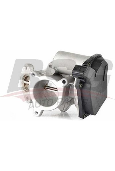 Bsg 90-836-006 Egr Valfi 90836006 (WA793155)