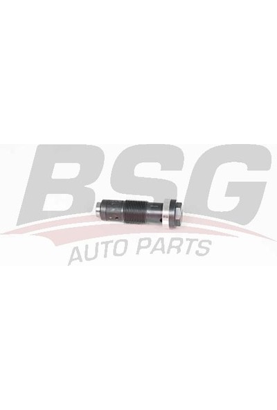 Bsg 60-109-005 Eksantrik Zincir Gergisi 60109005 (WE993597)