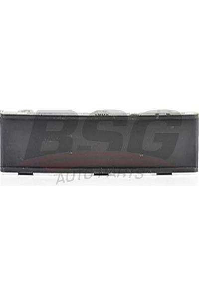 Bsg 65-122-004 Kam Mili Zincir Rayi Alt 65122004 (WE981977) Bsg 65-122-004 Kam Mili Zincir Rayi Alt 65122004 (WE981977)