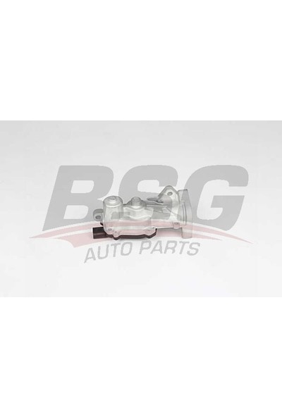 Bsg 65-836-014 Egr Valfi 65836014 (WC228751)