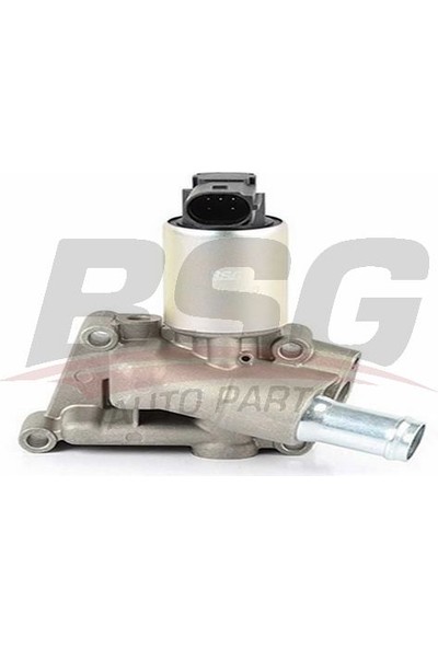 Bsg 65-836-006 Egr Valfi 65836006 (WA929792)